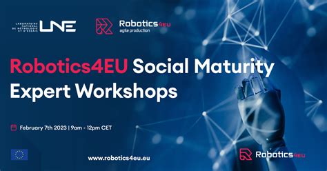 Robotics4eu Social Maturity Expert Workshops Robotics4eu