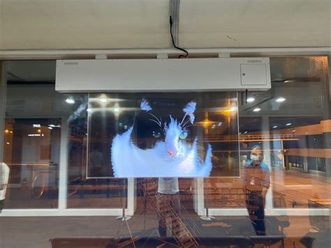 55인치 투명 Oled 김포공항 천장 벽걸이형 설치사례 Mdskorea