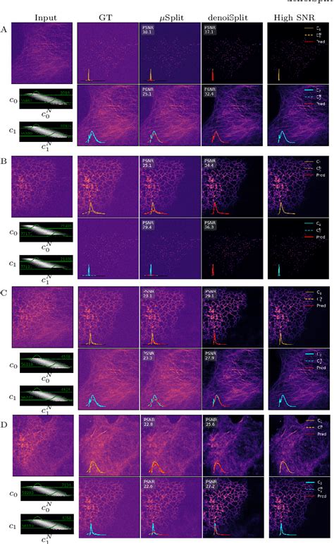 figure 1 from denoisplit a method for joint image splitting and