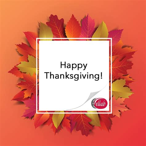 Ellab Validation And Monitoring Solutions On Linkedin Thanksgiving