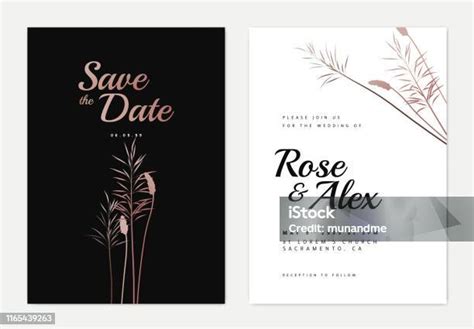 식물 결혼식 초대장 카드 템플릿 디자인 흑백에 로즈 골드 실루엣 잔디 꽃 0명에 대한 스톡 벡터 아트 및 기타 이미지 0명 결혼식 공중 부양 Istock