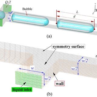 The Typical Computational Domain Of The Microfluidic Flow Focusing