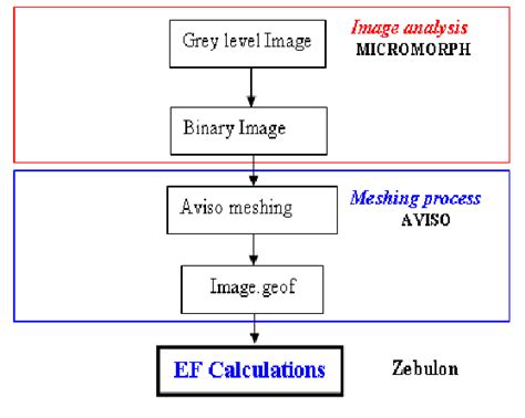 Image Preparing And Meshing Process Download Scientific Diagram