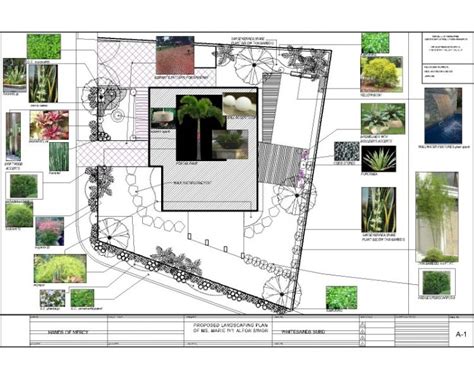 Flowering Trees For Sale In Cebu