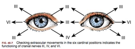Week Lecture Sensory Disorders Chp And Flashcards Quizlet