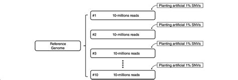 Simulation Dataset Preparation We Generated 10 Simulated Sequencing