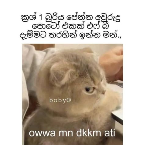 Thilina Wickramasinghe 😾😾 Srilanka Srilankatravel Kandy Ceylon Visitsrilanka Lka