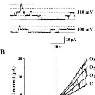 Ion Channel Currents Activated At Positive Membrane Potentials