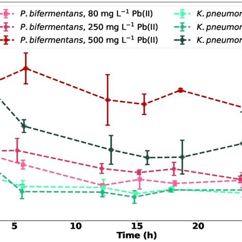 The Nitrate Concentrations Over Time For Experiments Of Varying Initial