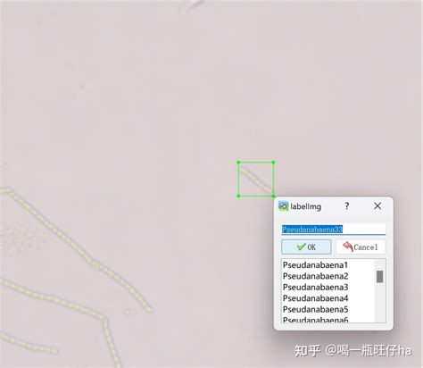 anaconda 中使用pip install labelimg 安装labelimg修改预定标签predefined classes txt