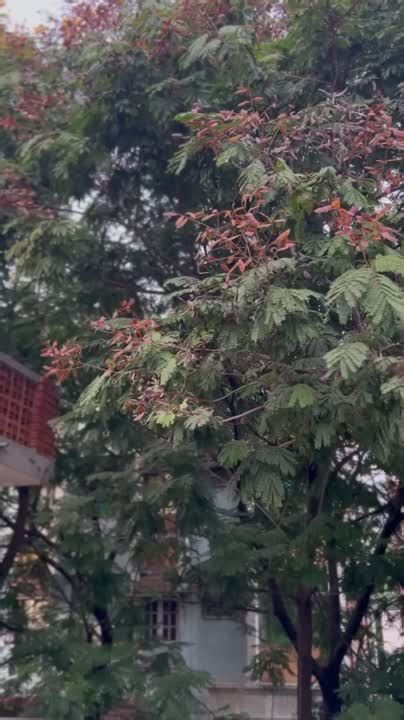 Sahithya Reddy On Linkedin Behindthescenes Behindthecamera Adfilm Diwalishoot Festivaloflight