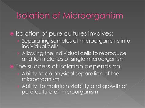 Ppt Metode Mikrobiologis 1 Powerpoint Presentation Free Download