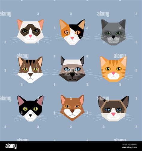 Set Of Cats Heads In Flat Style Face Kitten Whiskers And Ears Muzzle