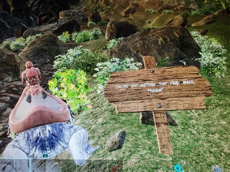Ark In A Nutshell R Ark