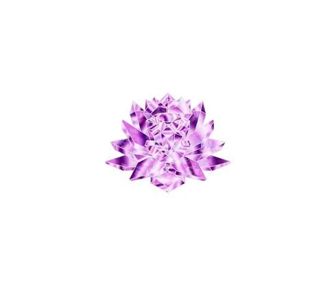 Gambar Bunga Ungu Di Latar Belakang Putih