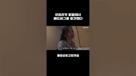 아프리카 호텔에서 새벽에 발견한 베드버그 아프리카 여행유튜버 Youtube