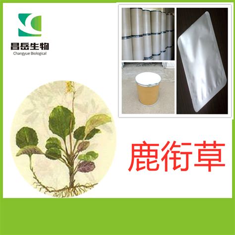 鹿衔草提取物101 比例 鹿含草提取物 全水溶 量大优惠 陕西西安 哈拿生物 食品商务网