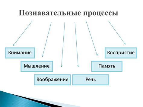 Развитие познавательной сферы подростков Подростковый возраст