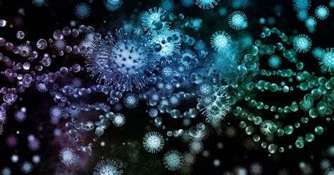 Breakthrough Finding Reveals Why Certain Covid 19 Patients Die