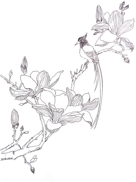 白描纯艺术绘画非也m007原创作品 站酷zcool