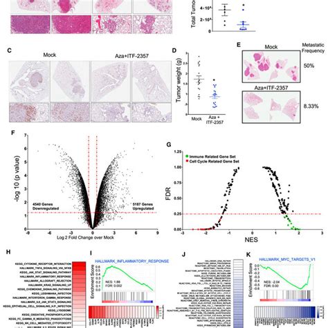 Combination Epigenetic Treatment Reduces Lung Tumor Burden And