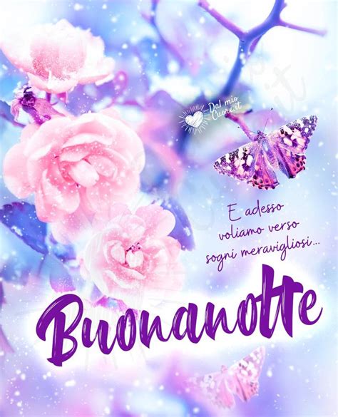 Buonanotte E Adesso Voliamo Verso Sogni Meravigliosi Buonanotte