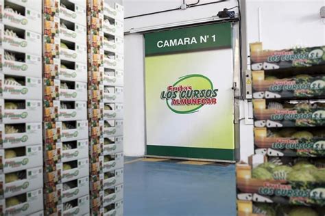 Frutas Los Cursos Sl Novofri