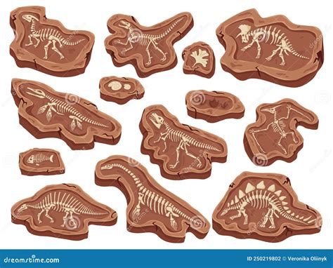 Cartoon Fossielen Dinosaurussen Oude Visgraten En Ammonietschelp