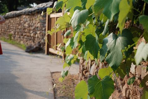 시골 옛날 전통 Pixabay의 무료 사진