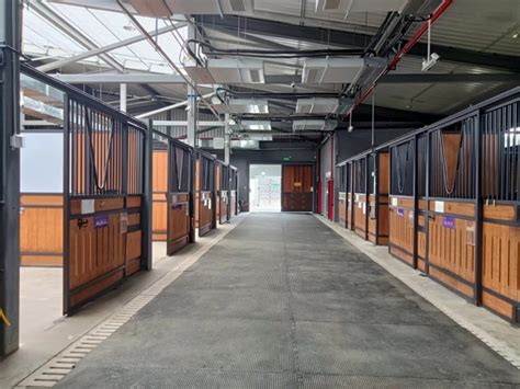 亚运会期间的“马选手”们吃什么？住宿条件如何？记者探营桐庐马术中心