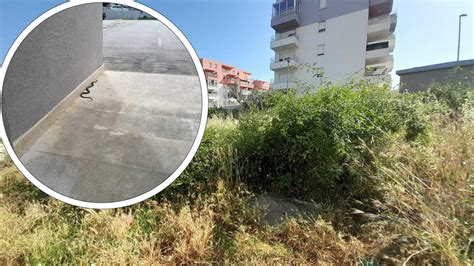 Slobodna Dalmacija Zmija ušetala u portun u Splitu stanari