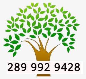 20 Off Tree Removal Tree Logo Vector Png Free Transparent PNG Download PNGkey