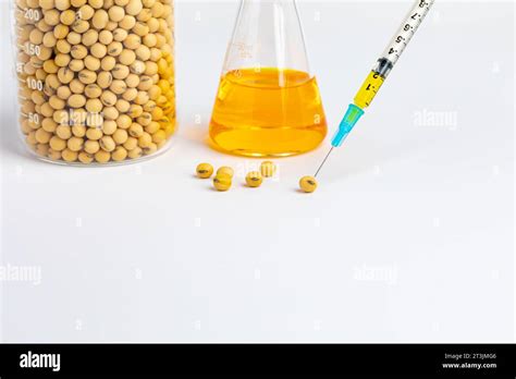 Soybeans With Syringe Genetically Modified Crops Herbicide And Insect