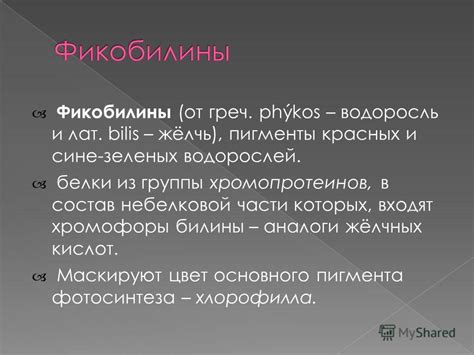 Презентация на тему: "Пигменты красящие вещества растений, сложные ...