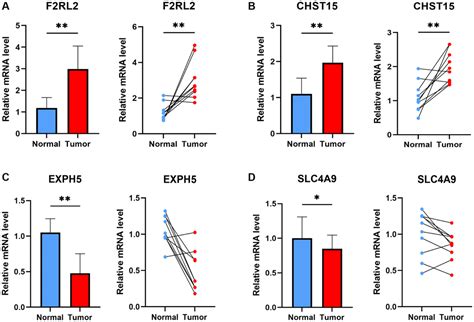 A Sars Cov 2 Related Signature That Explores The Tumor Microenvironment