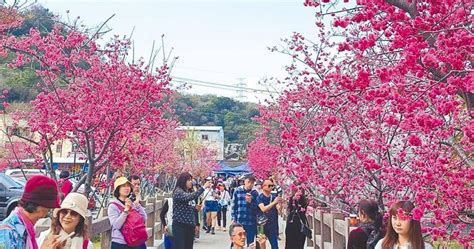 花蓮還不是最慘 228連假國旅全台訂房率仍未達5成 生活 CTWANT