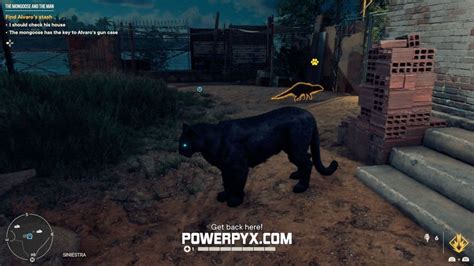 Far Cry 6 The Mongoose And The Man Treasure Hunt Walkthrough