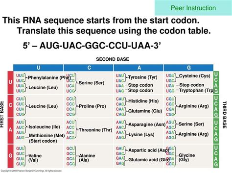 Why Is This Useful For The Prokaryote Why Cant Eukaryotes Do This