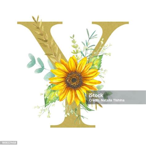 꽃 알파벳 문자 Y 알파벳 문자는 차분한 금색이며 해바라기 유칼립투스 및 다양한 허브의 수채화 꽃으로 장식되어 있습니다 9월에 대한 스톡 벡터 아트 및 기타 이미지 Istock