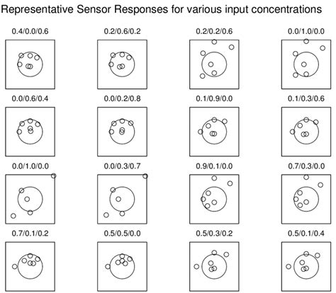 representative sensor responses shown on radial axes the magnitude of