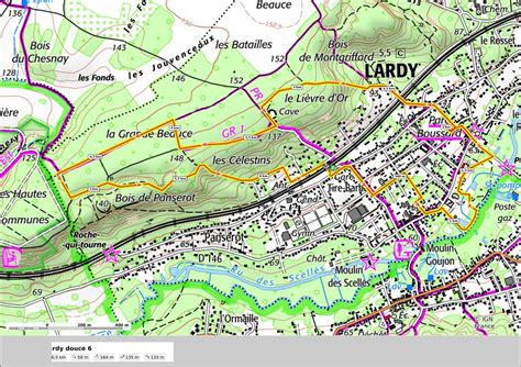 Rando à Lardy Dm 21 Janvier 2024 Randonneurs Norvillois