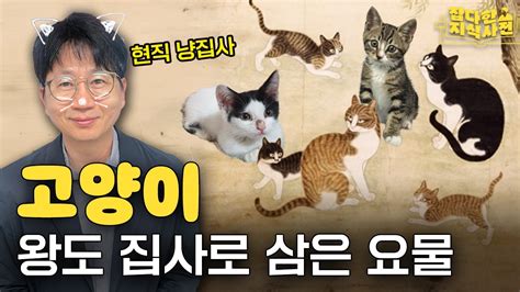 박광일 집사의 역사 속 고양이 이야기 🐈 숙종이 사랑한 반려묘 금손이 Youtube