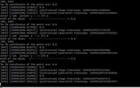 Rviz Syncdepth And Camerainfo Do Not Appear To Be