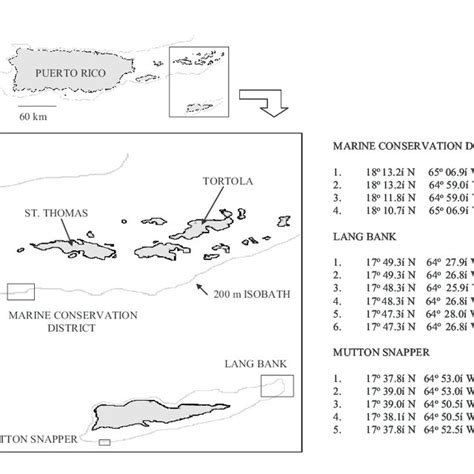 Example Side Scan Sonar Record With Water Column Before Slant Range Download Scientific