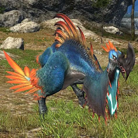 Ffxiv Jungle Coeurl Location Map Ff14 Hunting Log