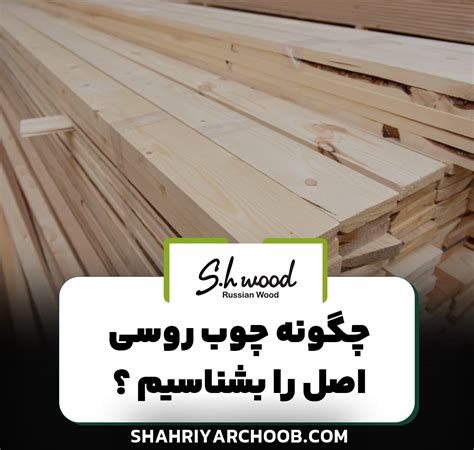 چگونه چوب روسی اصل را بشناسیم و با اطمینان خرید کنیم؟ بازرگانی شهریار چوب