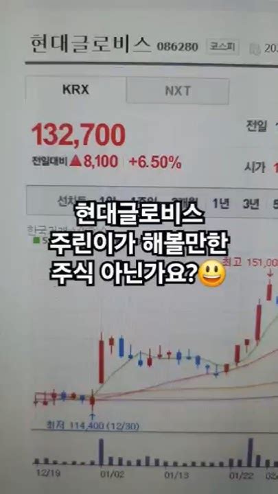 주린이가 느긋하게 사고팔기 괜찮은 주식 아닌가요주린이투자 주식투자 현대글로비스주가 주식초보 Youtube