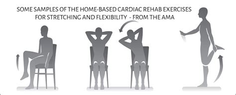 Cardiac Rehab Exercises Do Them Safely At Home