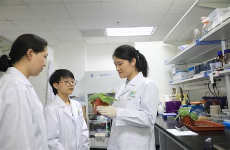分子植物卓越中心辛秀芳研究员荣获中国科学院青年科学家奖 中国科学院分子植物科学卓越创新中心中国科学院上海植物生理生态研究所