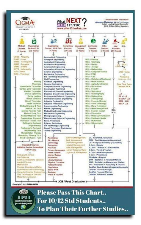 After Graduation Best Career Options Vrogue Co